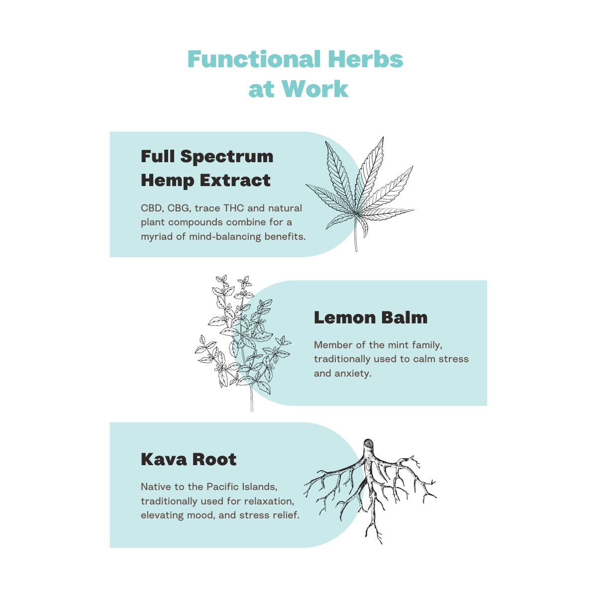CBD + CBN + CBG + THC Oil Drop Tinctures - Polite Hemp